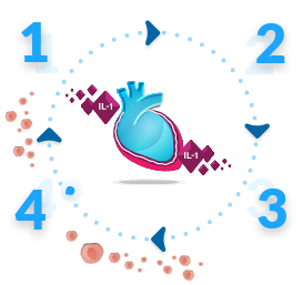 Recurrent Pericarditis